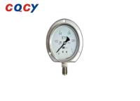 China ExdIIBT4 YTH-100 Pressure Instrument for sale