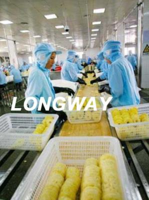 China Fresh Fruit Juice Production Line/Complete Filling Plant for sale