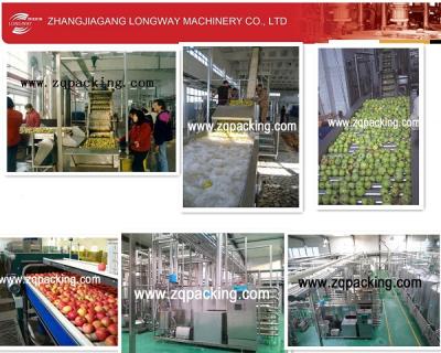 China 2015 Concentrated Apple Juice Bottling Production Line for sale