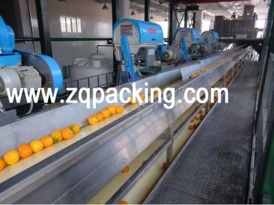 China natural juice production line for sale