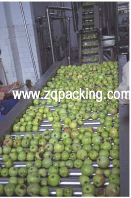 China apple juice concentrate production line for sale