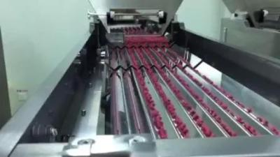 China High-Speed 380V Pharmaceutical Bottle Filling Production Line with 1 Year Warranty for 60ml 80ml 100ml Bottles for sale