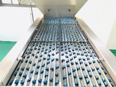 China 50HZ/60HZ Voltage Counting And Filling Machine 10-120 Bottle/minute Capacity for Fast and Accurate Filling for sale