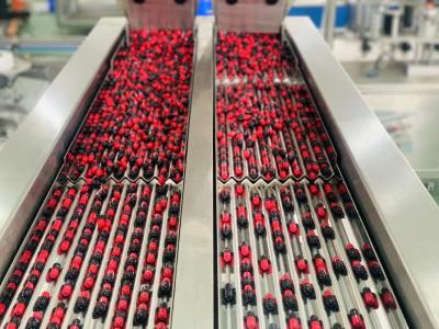 China Capacity Counting And Filling Machine with Capacity 10-120 Bottle/minute Machine Weight kg 320 for sale