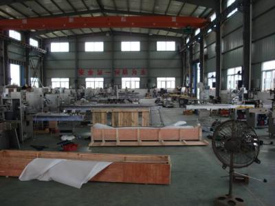 China 220V 2kw Laundry Detergent Tablet Packing Machine for sale