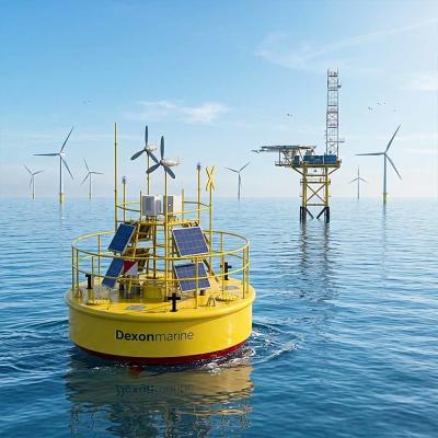 China Offshore Wind Floating LiDAR Data Buoy Platform for sale
