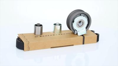 China 06F198119A Auto Parts Timing Belt Repair Kit For A3 A4 A6 Audi Car Engine Parts for sale