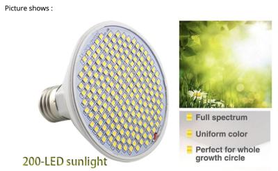 Cina luce progressiva flessibile della pianta della lampada del tubo flessibile 200 LED del collo d'oca di 165Cm fito in vendita