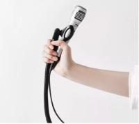 China Bendable Flexible Metal Gooseneck Microphone Stand Electroplating  19 Inch for sale