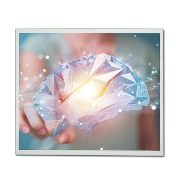 Quality 17 Inch DV170E0M-N10 BOE LCD Panel 250nit IPS Screen Viewing Angle for sale