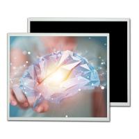 China BOE DV170E0M-N10 17 Inch IPS LCD Panel 1280x1024 250nit SXGA Display for sale