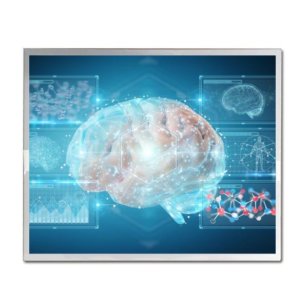 Quality BOE DV190E0M-N11 IPS LCD Screen 250 Nits 19 Inch TFT LCD Display for sale