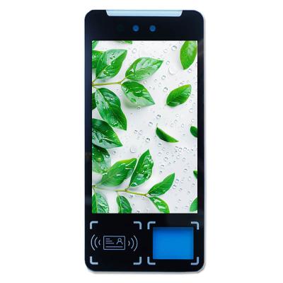 Cina 420nits 8 pollici TFT Display Display Risoluzione 800 * 1280 pixel con lenti di copertura protettiva in vendita