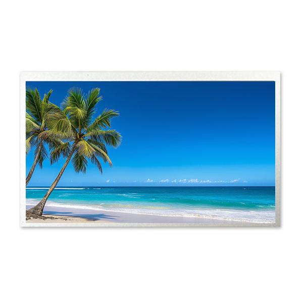 Quality G133HAN01.1 AUO Display Panel 13.3 Inch Industrial TFT Display 1920*1080 for sale