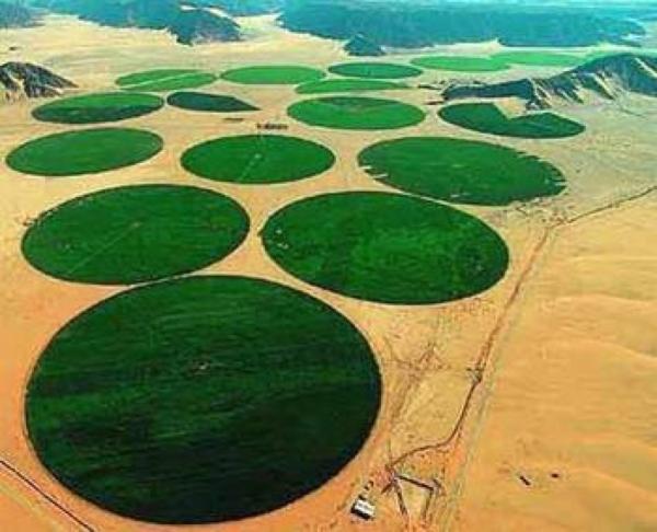 Quality Large Farm Energy-saving Irrigation Machine DYP-399 for Round-shaped Plots for sale
