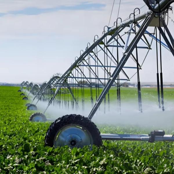 Quality Best Selling DYP-178 Center Pivot Irrigation System New Condition Metal Material with Core Motor and Gearbox Components for sale