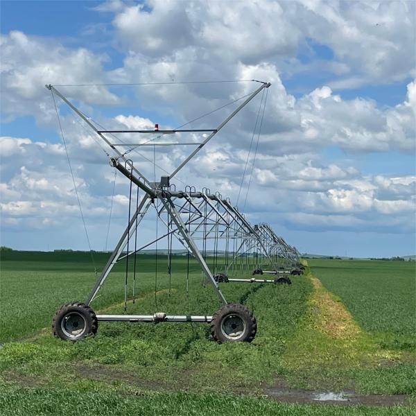 Quality Low-Cost Center Pivot Farm Irrigation System for Sale of 20ha for sale