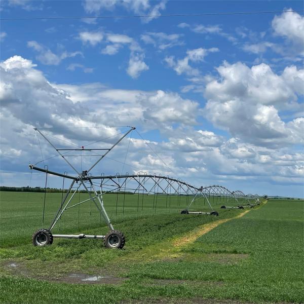Quality 60HA Valley Style Fixed Center Pivot Farm Irrigation System New Metal Motor and Gearbox Core Components for sale