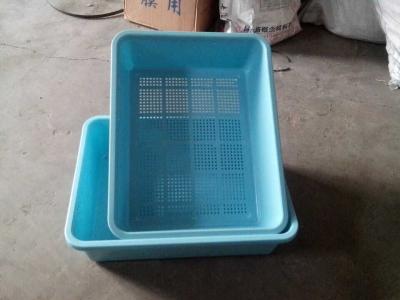 China NEW DESIGN with hot sale plastic colorful plastic cat toilet/cat litter tray for sale
