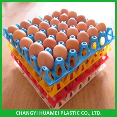China 30 Holes Plastic Egg Tray Convenient Egg Package Tray for sale