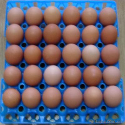 China High quality manufacturer 30- cell turnover egg tray for sale