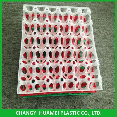 China OEM service fashionable 30- cell turnover egg tray for sale