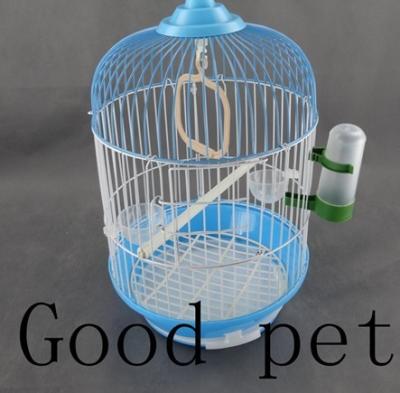 China pet product bird cage for sale