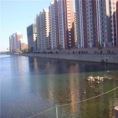 China High quality for  Steel plastic  chain for sale