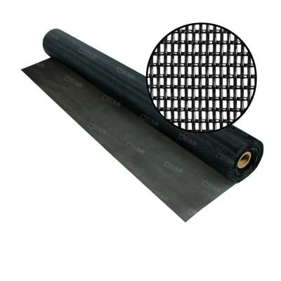 China 316 stainless steel mesh screen-Black Powder Coating Security Screen for sale