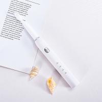China Electric Battery Powered Toothbrush With Timer 500mAh Multifunctional for sale