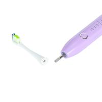 China Interchangeable Rechargeable Sonic Electric Toothbrush With Multiple Speed Settings for sale