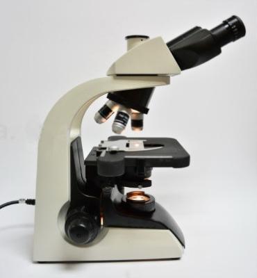 Cina Microscopio NCH-B2000 binoculare della cultura del tessuto invertito illuminazione infinita dell'alogeno di Kohler in vendita