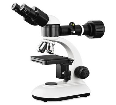 Cina Microscopio ottico ottico economico, microscopia leggera composta monoculare in vendita