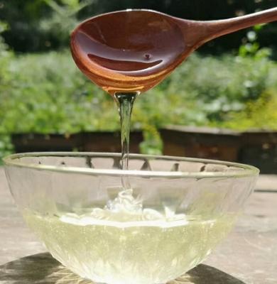 acacia honey for sale