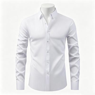 China Slim Fit Mens Long Sleeved Shirt Wrinkle Resistant 4 Way Stretch Button Down Shirt for sale
