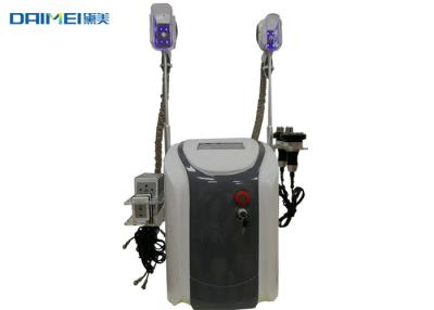 China Multifunctional Cryolipolysis Slimming Machine / Cryo Fat Freezing Machine for sale