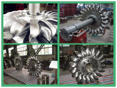 Cina Turbina di Pelton dell'acciaio inossidabile idro, verticale/corridore orizzontale della turbina in vendita