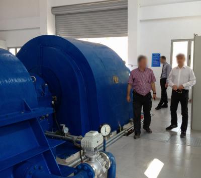 Cina Doppi unità della turbina Pelton dell'ugello/generatore a turbina orizzontali idro di Pelton in vendita