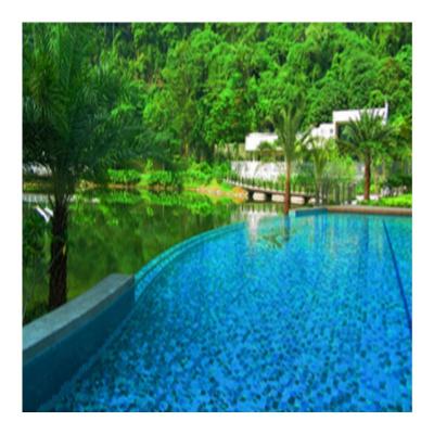 Cina Chiara piscina acrilica da 6 metri per l'installazione facile e acqua pulita in vendita