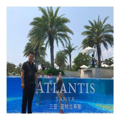 中国 モジュラルの窓とアクリルパネル 顧客の需要プールのためのプラスチックシート 販売のため
