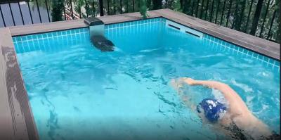 Cina Trasforma il tuo interno in una destinazione per nuotare con la piscina a cielo aperto in vendita