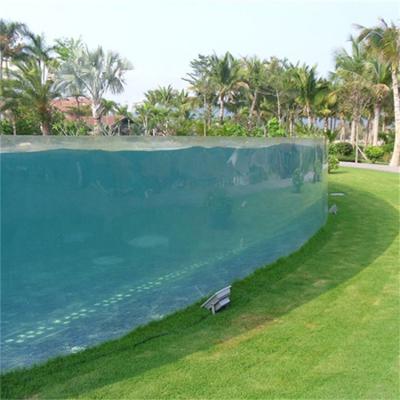 Cina Spessore del pannello acrilico personalizzato Colore caffè Fibra di vetro Cortile Sky Lap Pool Design in vendita