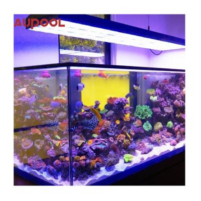 中国 耐久性バランスタンクとオーダーメイド グラス繊維ジェットストリームプール 販売のため