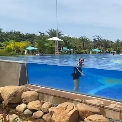 Cina Piscina interna con la lussuosa piscina a fondo nero personalizzata di Aupool in vendita