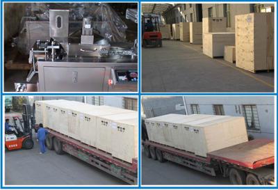 China New design package DPP-80 Tomato Paste Sauce Blister Packing Machine for sale