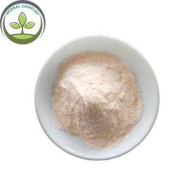 China grapefruit juice powder buy best dried organic grapefruit powder  uses health benefits supplement products capsules tabe for sale