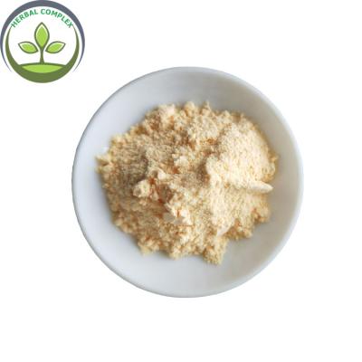 China honeydew melon powder  buy powdered musk melon  best health benefits mixed drinks supplement bulk bubble tea powder for sale