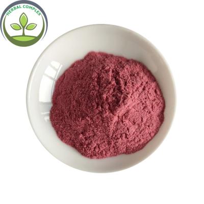 China Wholesale Instant Powder Drink  Dried Waxberry In Bulk for sale