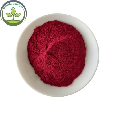China Wholesale Elderberry Powder For Instant Tea Powder for sale