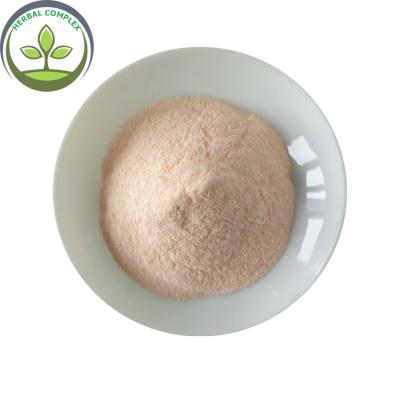 China Wholesale Carica Papaya Fruit  Juice Powder/Carica Papaya for sale